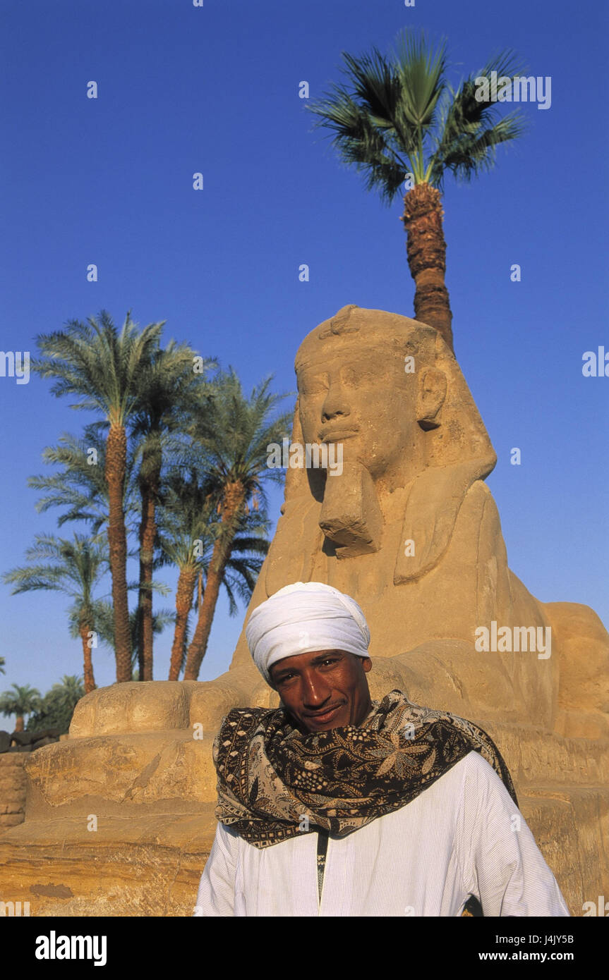 Egypt, Luxor, temple of Luxor, statue, Egyptian no model release ...