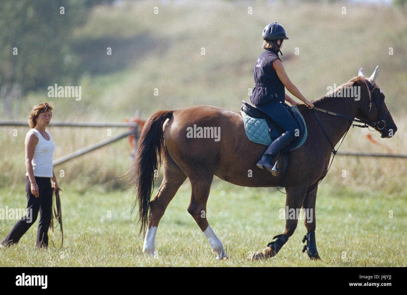 Riding exchange rate hi-res stock photography and images - Alamy