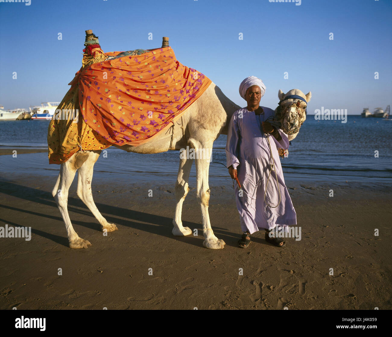Egypt, Hurghada, beach, camel guide, evening light summer, the Red Sea ...
