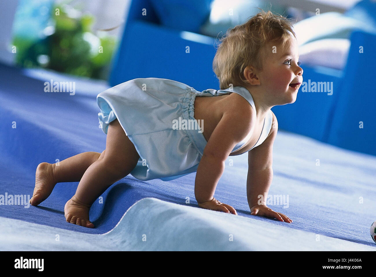 Infant, girl, happily, creep, step, master inside, at home, child, baby ...