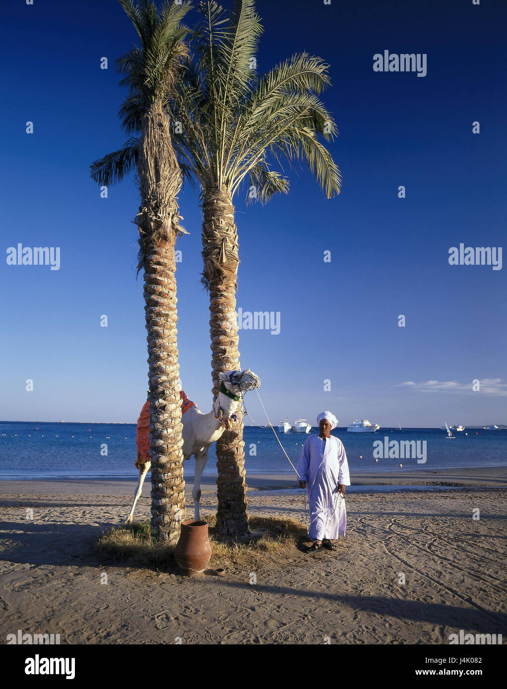 Camel guides summer hi-res stock photography and images - Alamy
