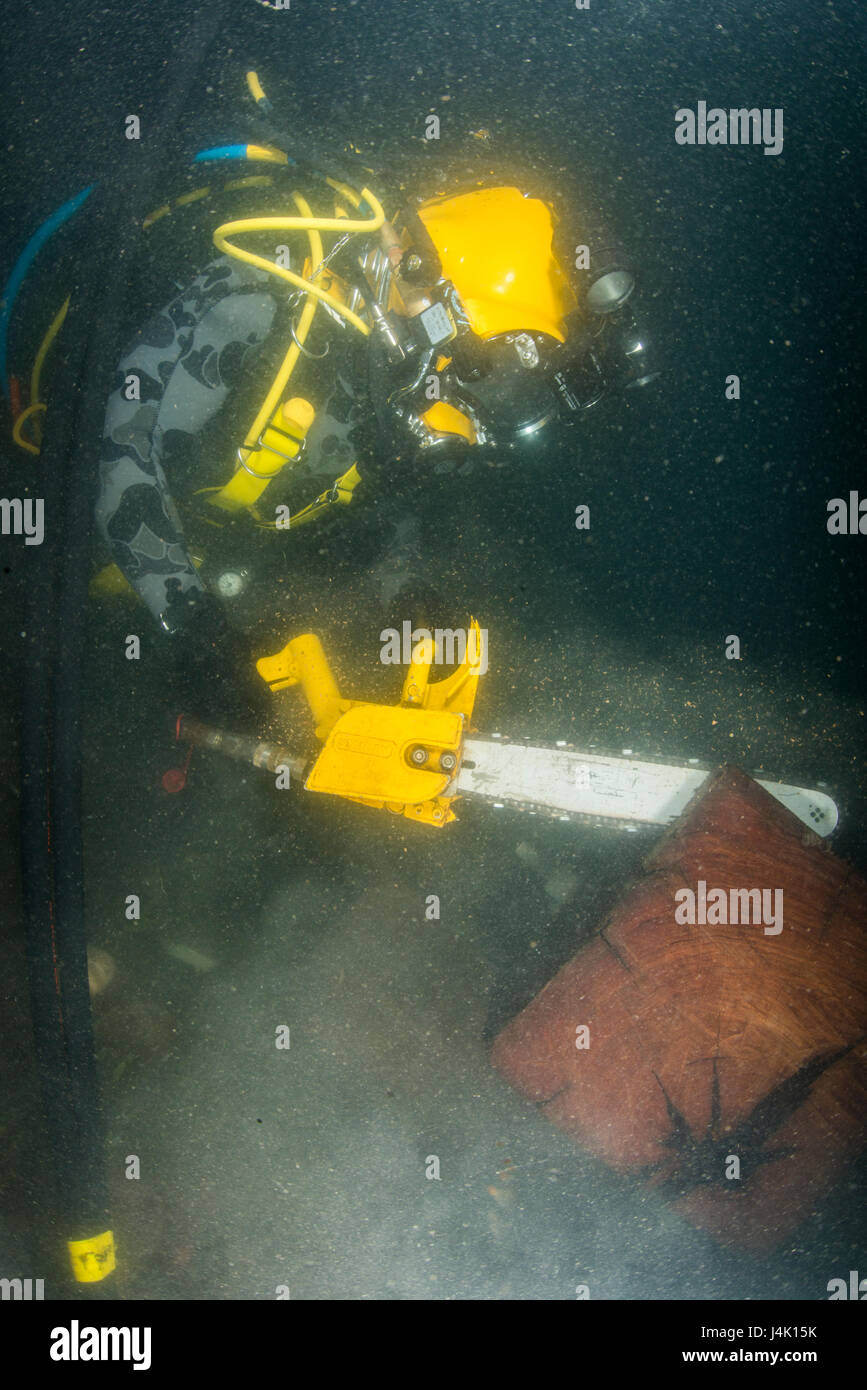 A Royal Australian Navy Diver assigned to Australian Clearance Diving ...