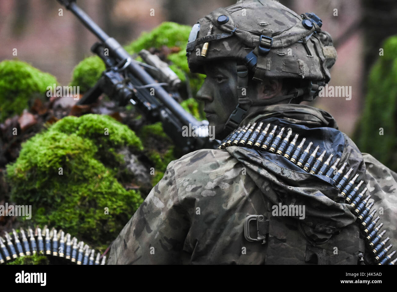 A U.S. Army paratrooper from Alpha Company, 1-503rd, 173rd Airborne ...