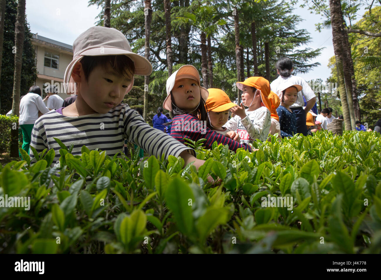 Cultural adaptation program hi-res stock photography and images - Alamy