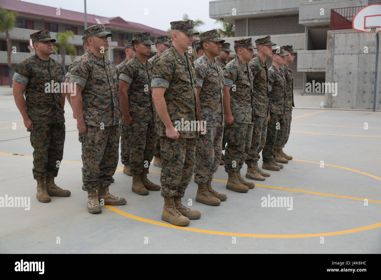 Marines with 5th Marine Regiment, 1st Marine Division, are recognized ...