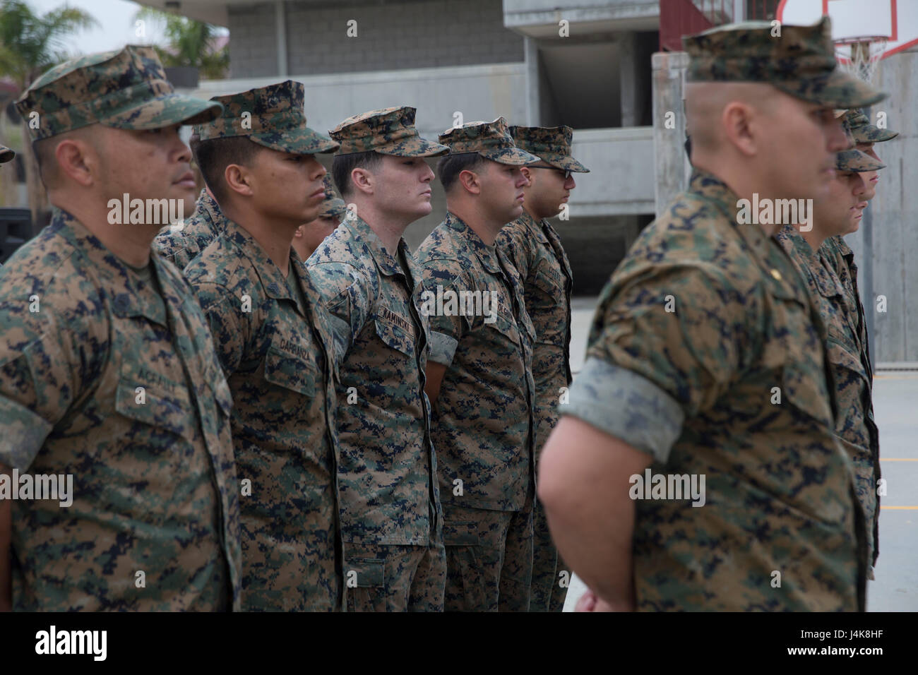 Marines with 5th Marine Regiment, 1st Marine Division, are recognized ...