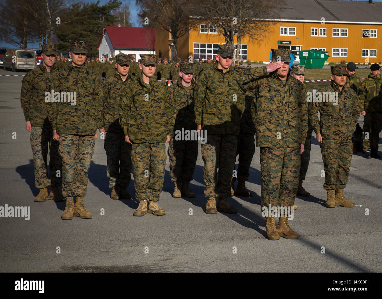 U.S. Marines with Marine Rotational Force Europe 17.1 (MRF-E) stand in ...