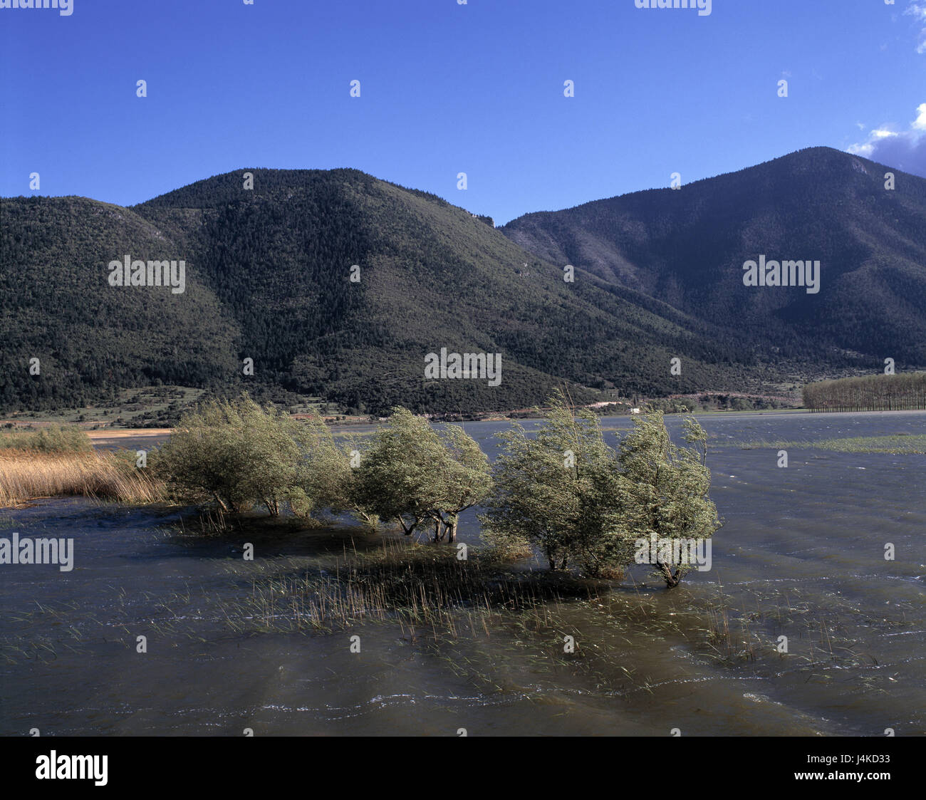 Limmi stymfalia hi-res stock photography and images - Alamy