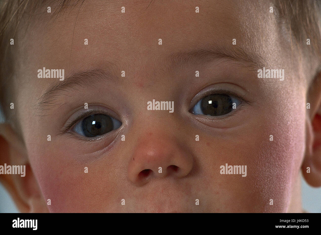 Child, look, detail, eyes, nose child look, curiously, carefully ...