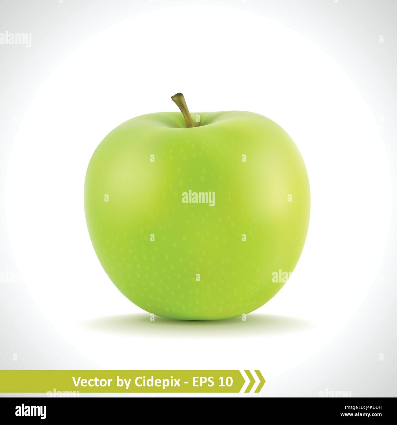 Gradient Mesh Vector Illustration of a Photo Realistic Green Apple ...