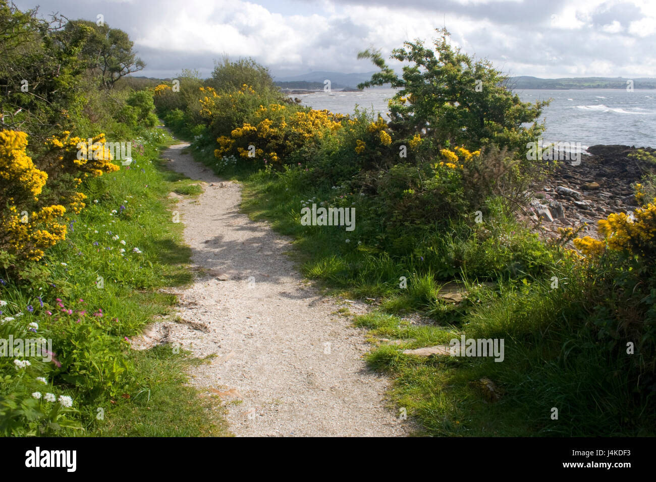 Bay hedge hi-res stock photography and images - Alamy