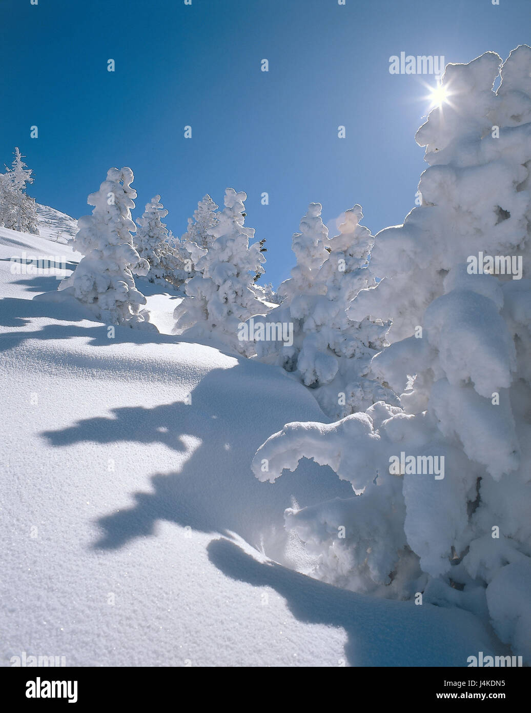 Back hill hi-res stock photography and images - Alamy