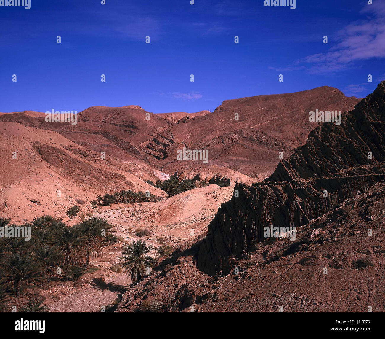 Tunisia, Chebika, Jebel en Negueb, mountain landscape, vegetation ...