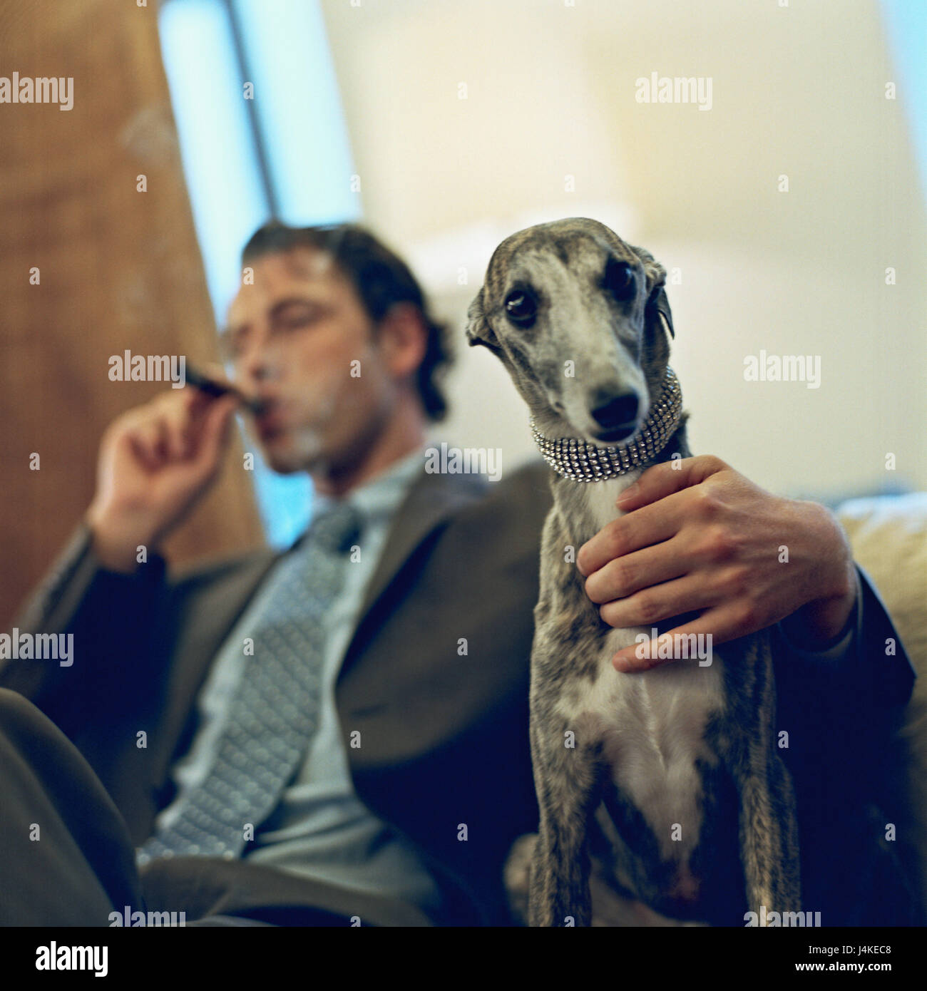 Man with whippet hi-res stock photography and images - Alamy