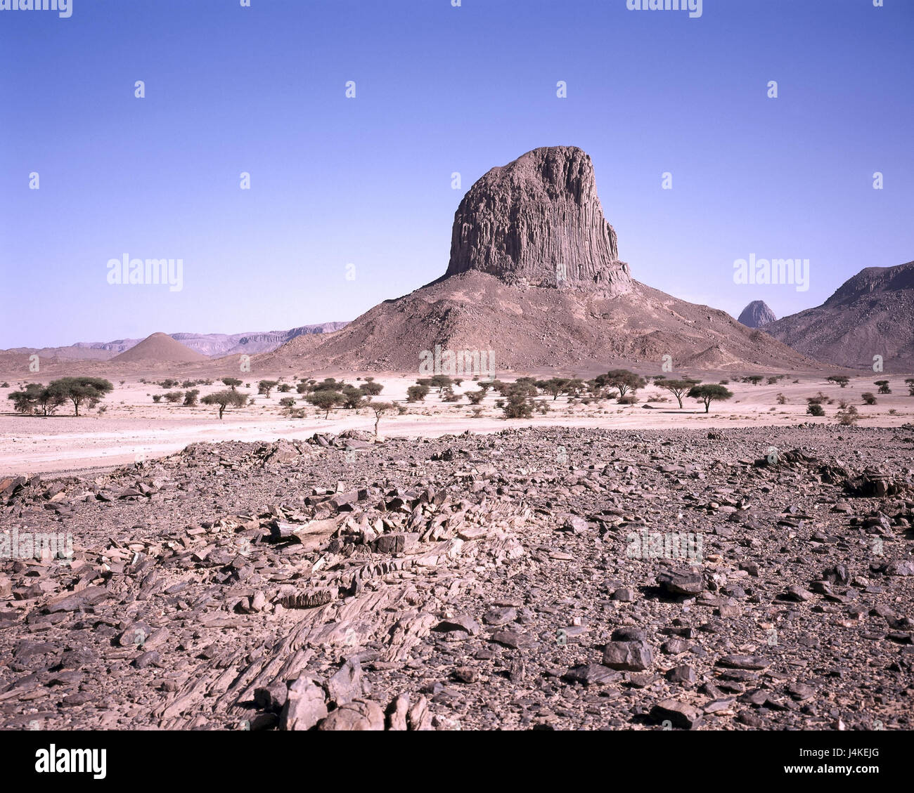 Algeria, Hoggar, Tamanrasset, scenery, mountain, Iharen, trees Africa ...