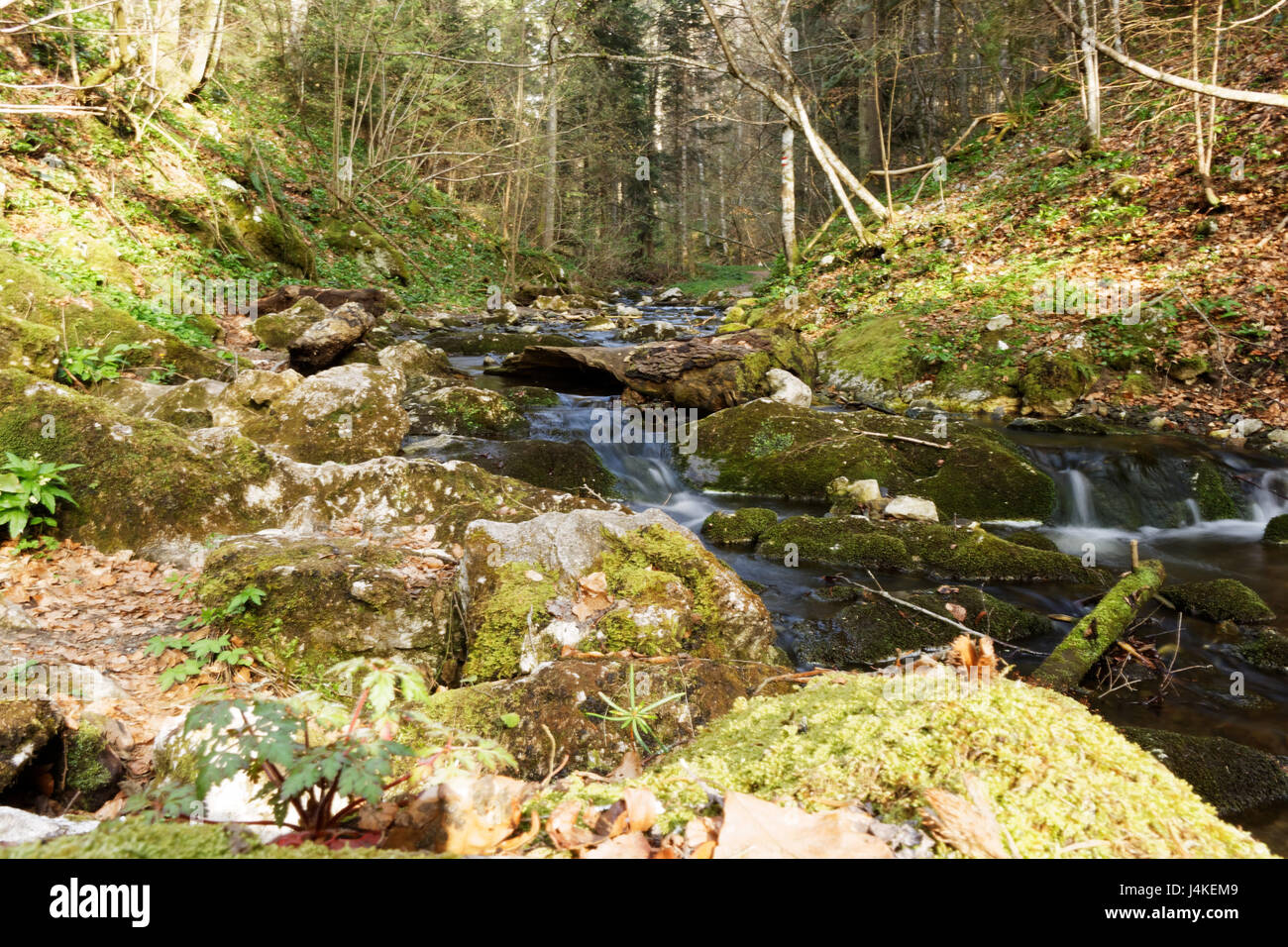 Beautiful waterfall small creek hi-res stock photography and images - Alamy