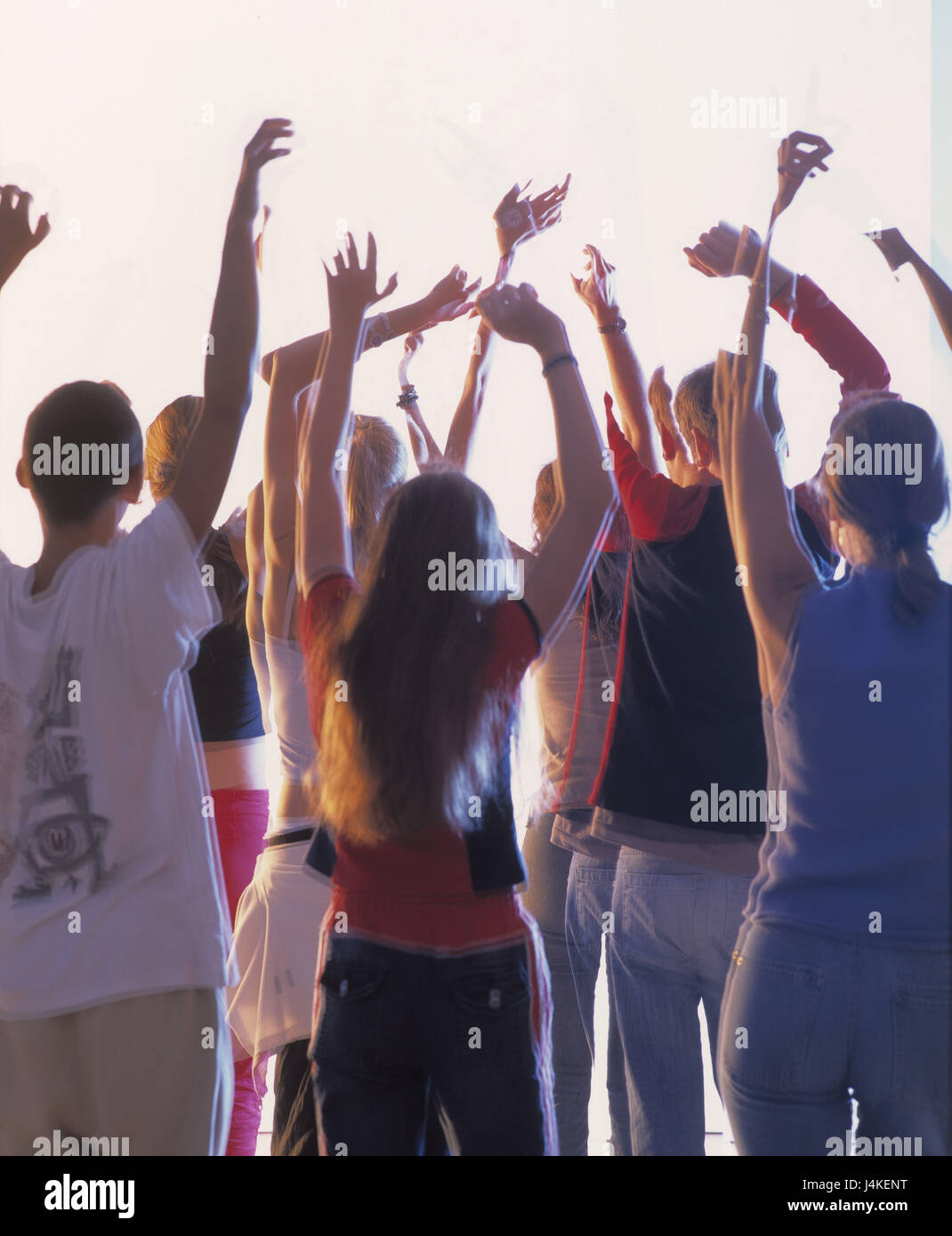 Concert, fans, arms, stretch, wave, dance, back view, blur spectator ...