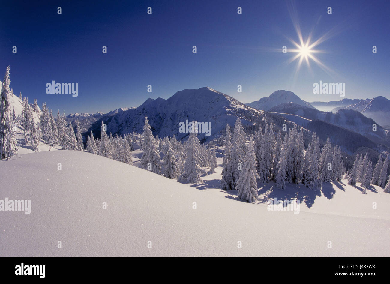 Rofangruppe hi-res stock photography and images - Alamy