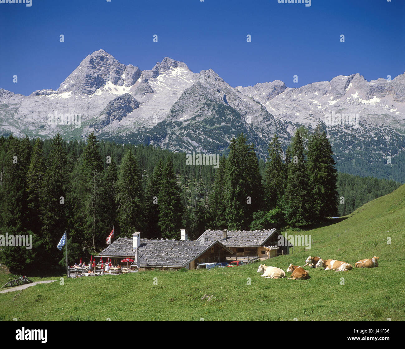 Austria, Salzburg country, Pinzgau, Lofer, Kallbrunnalm, Leoganger ...