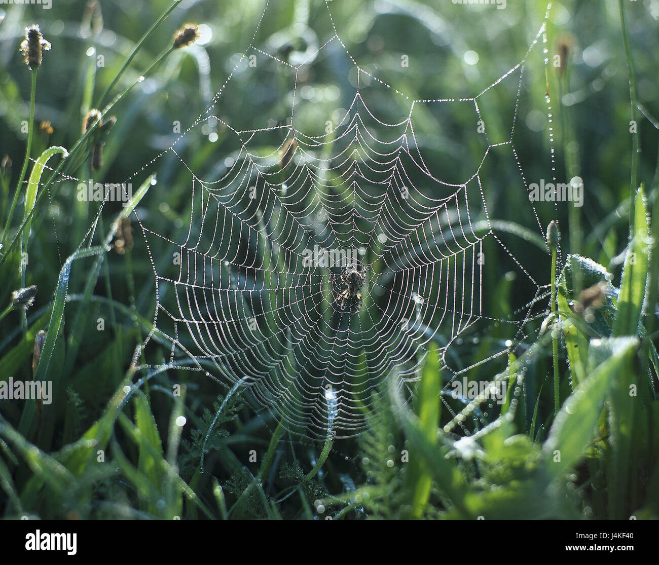 Time network hi-res stock photography and images - Alamy