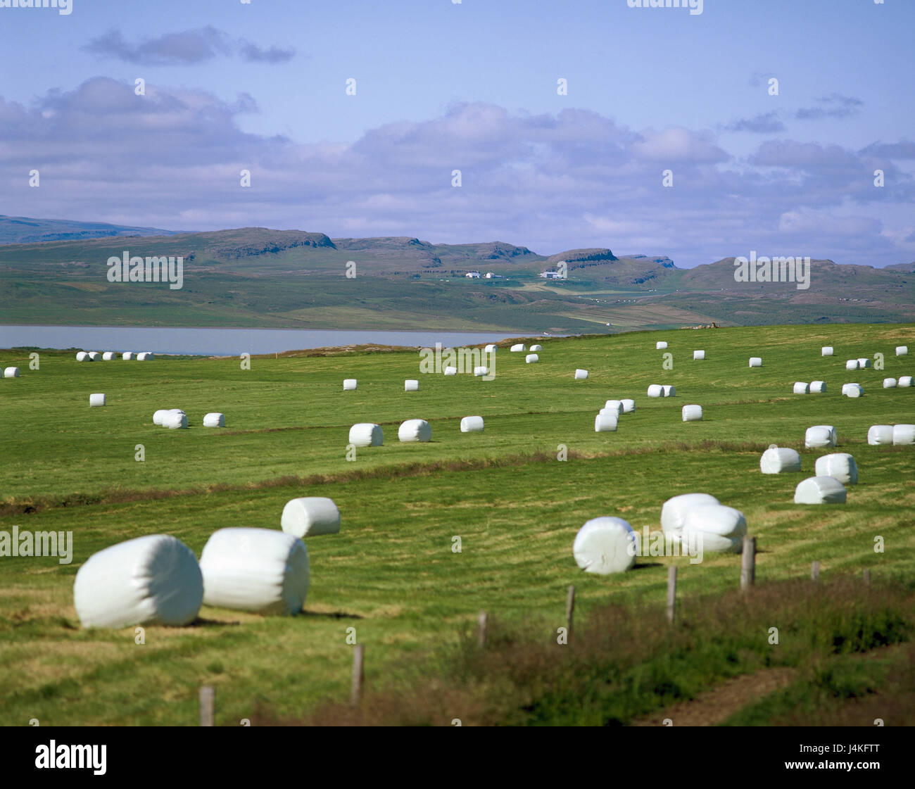 Iceland, north-east, Oxarfjordur, field scenery, silo bale Europe ...