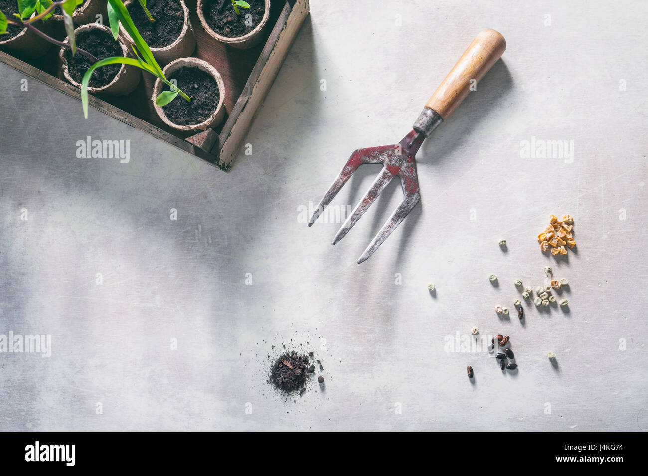 Vintage Garden Hand Fork, Seeds and Seedlings Flat Lay Composition ...