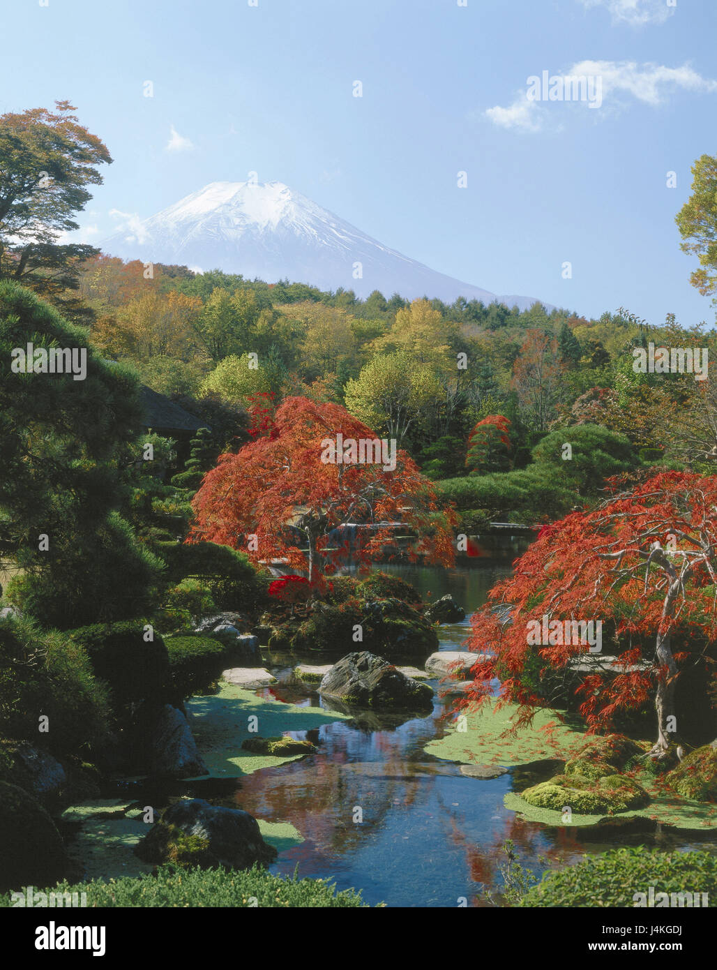 Japan, Oshino Mura, park, Mt. Fuji, 3776 m, autumn Asia, park, pond ...