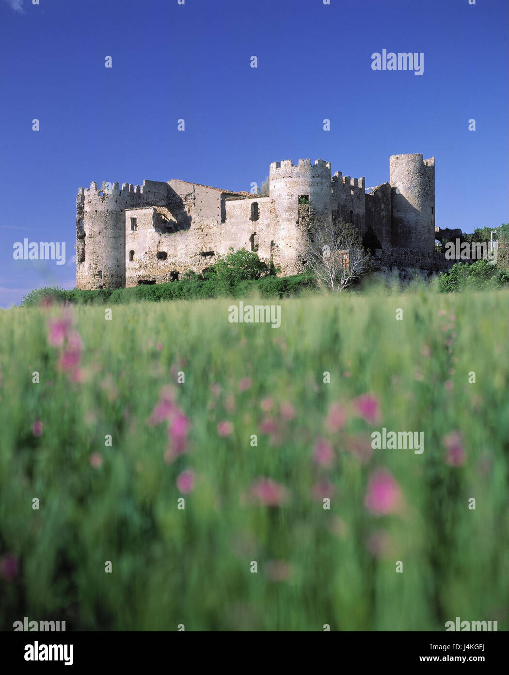 Italy, Calabria, tyrrhenische coast, Provincia Tu Cosenza, Sangineto ...