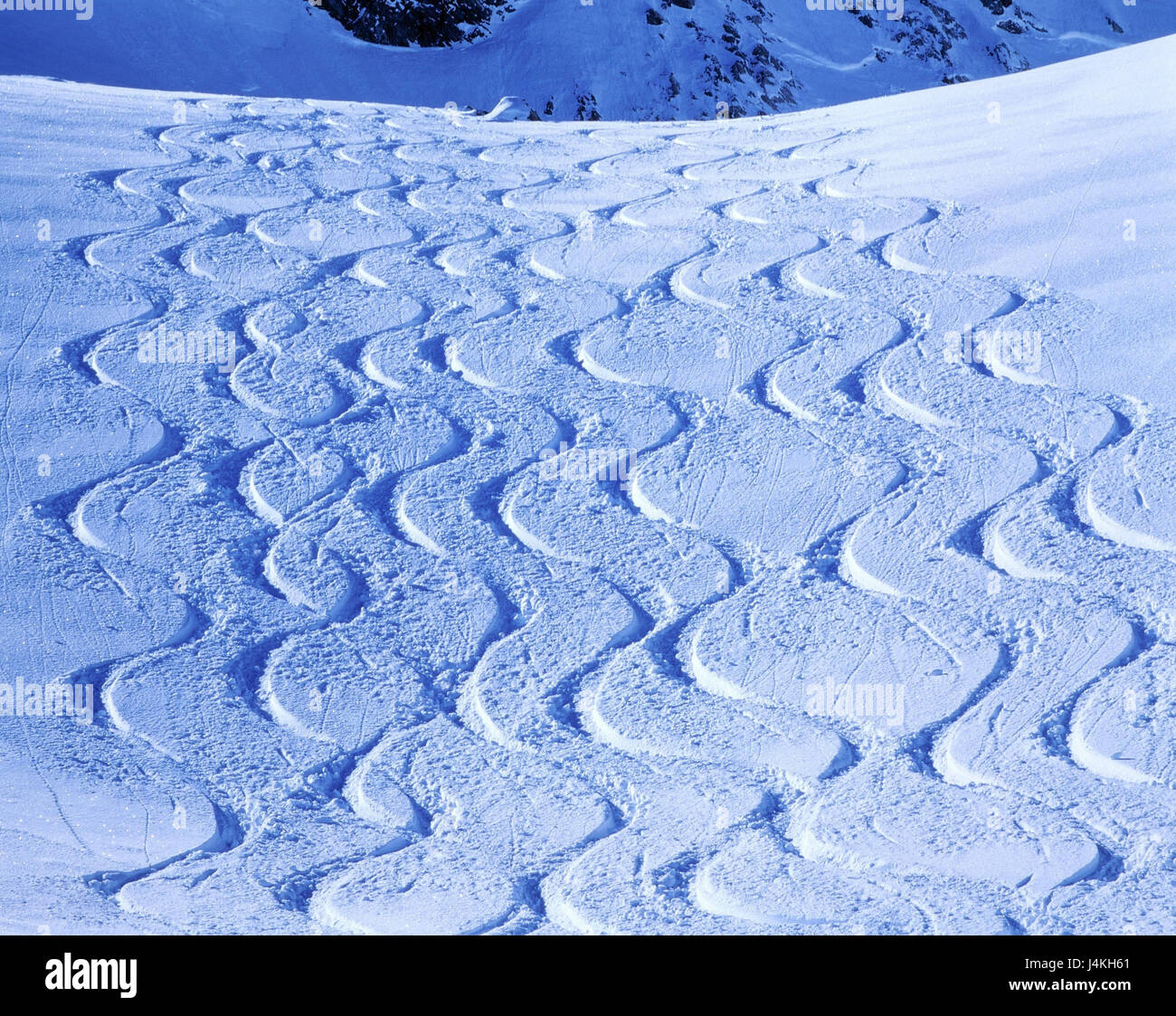Powder Skiing Tracks