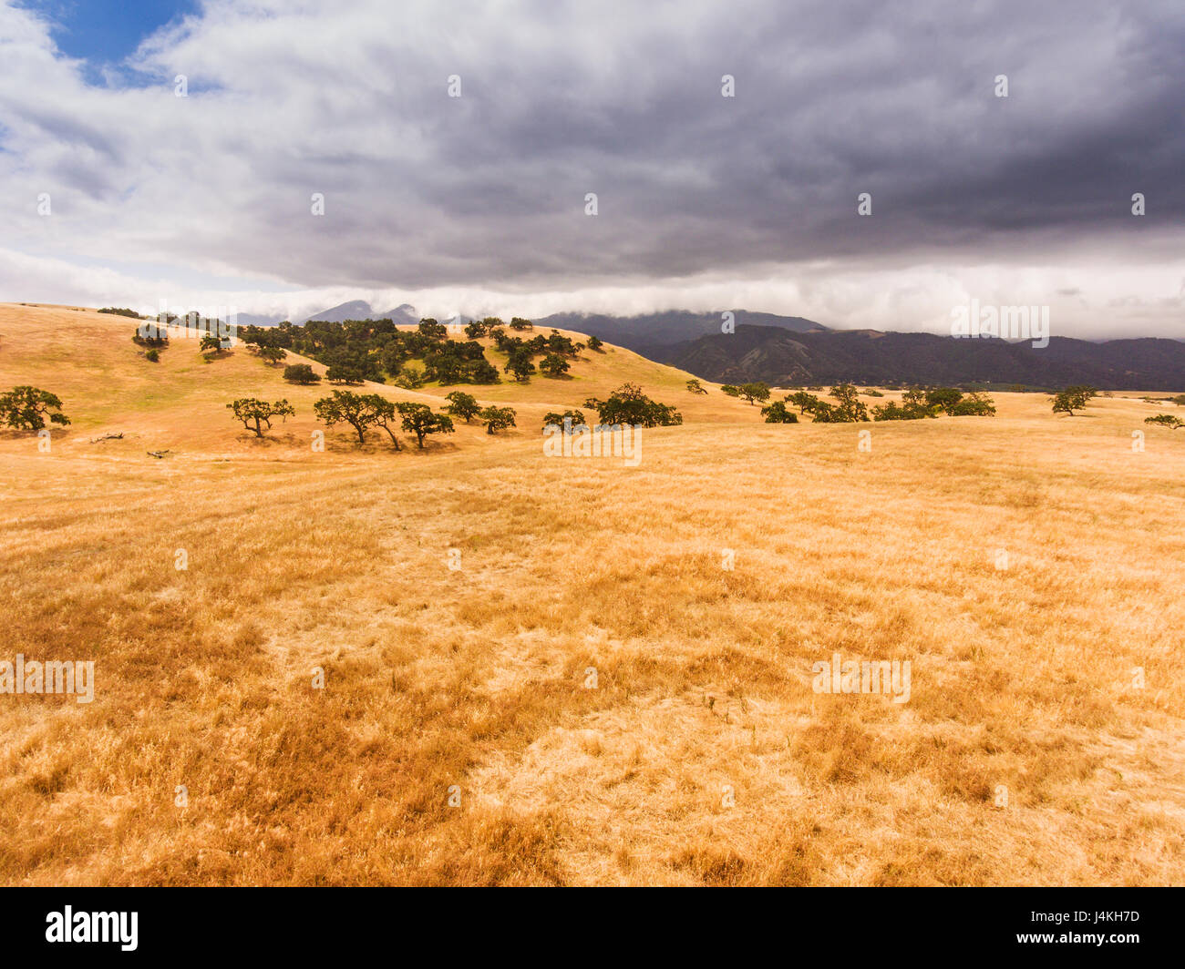 Rolling hills oak trees hi-res stock photography and images - Alamy
