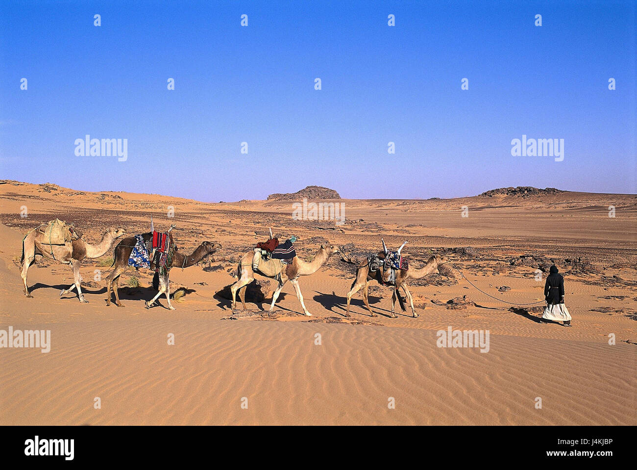 Libya, Tadrart Acacus, camel caravan, Tuareg Akakusgebirge, Akakus ...
