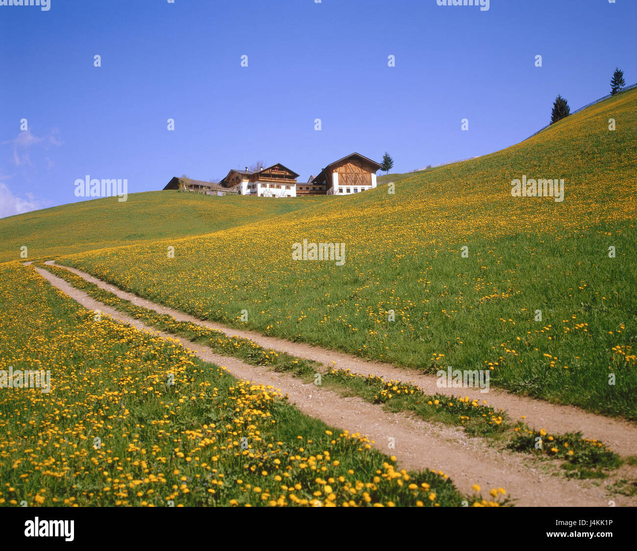 Northern tirol hi-res stock photography and images - Alamy