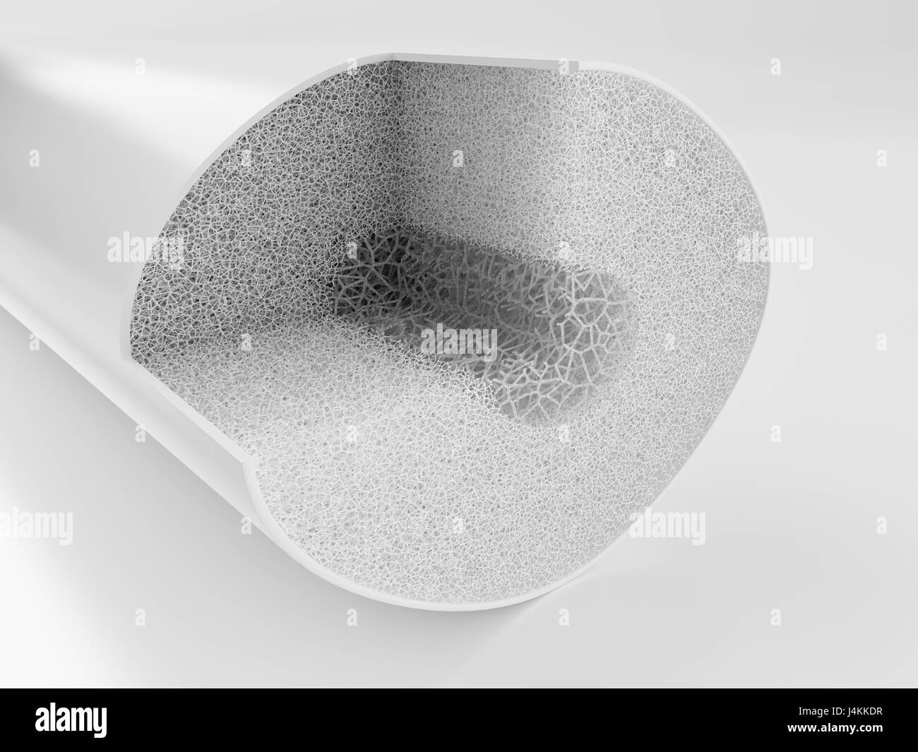 Human healthy bone cross section hi-res stock photography and images ...