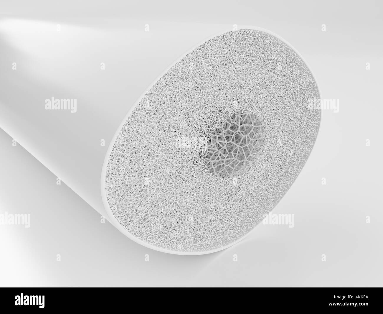 Cross section bone human hi-res stock photography and images - Alamy