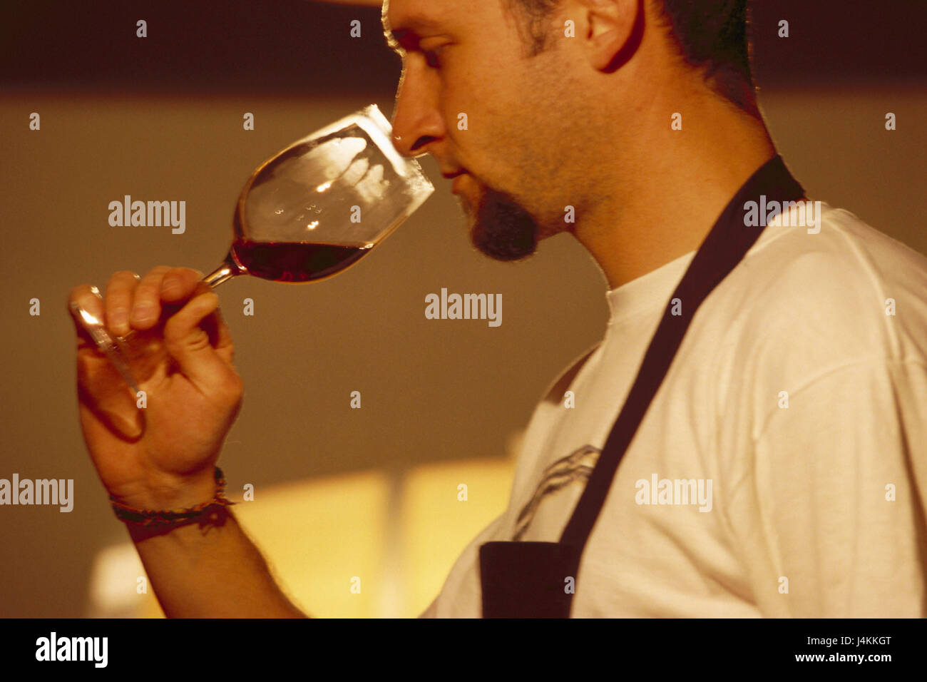 Croatia, Istria, vineyard Matosevic, Keller, man, wine degustation ...