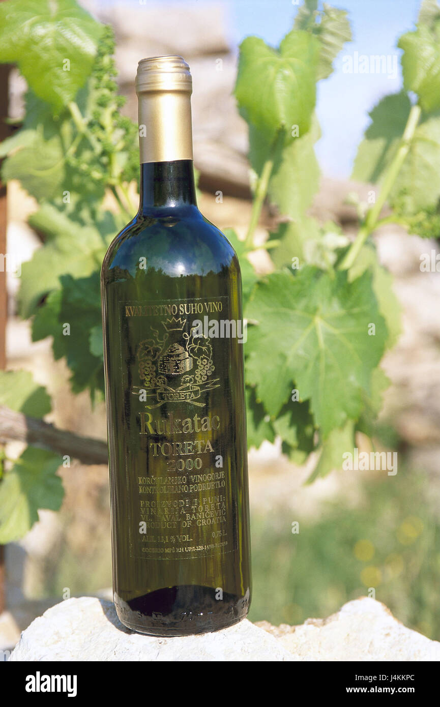 Croatia, island Korcula, Samokvica, wine area Toreta, flask, vine ...