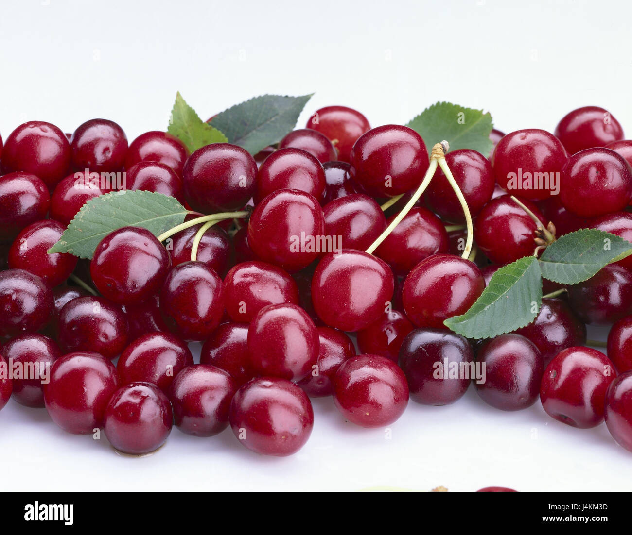 Cherries, Prunus spec., leaves, fruit, fruits, red, stone fruit plant ...