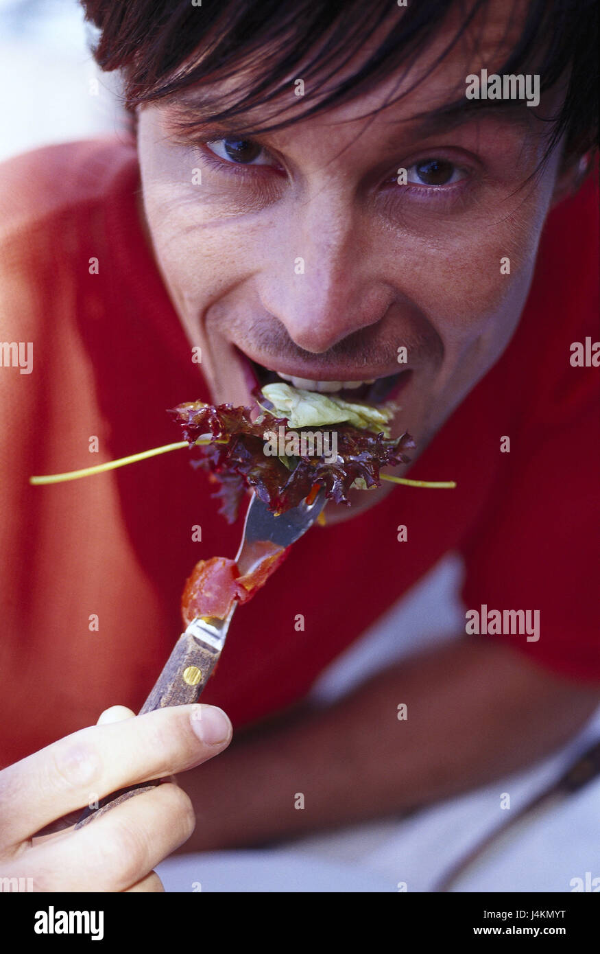 Man, branch, salad, eat, portrait, curled man's portrait, dark-haired ...