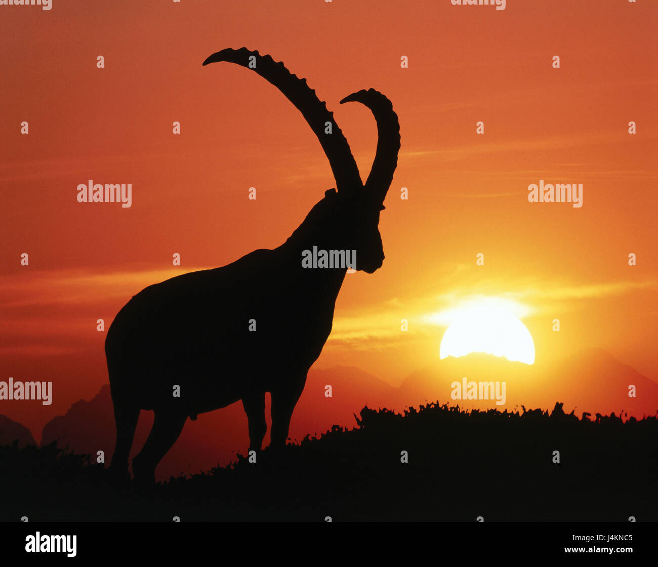 Mountain landscape, silhouette, Capricorn, sundown mountaintop ...