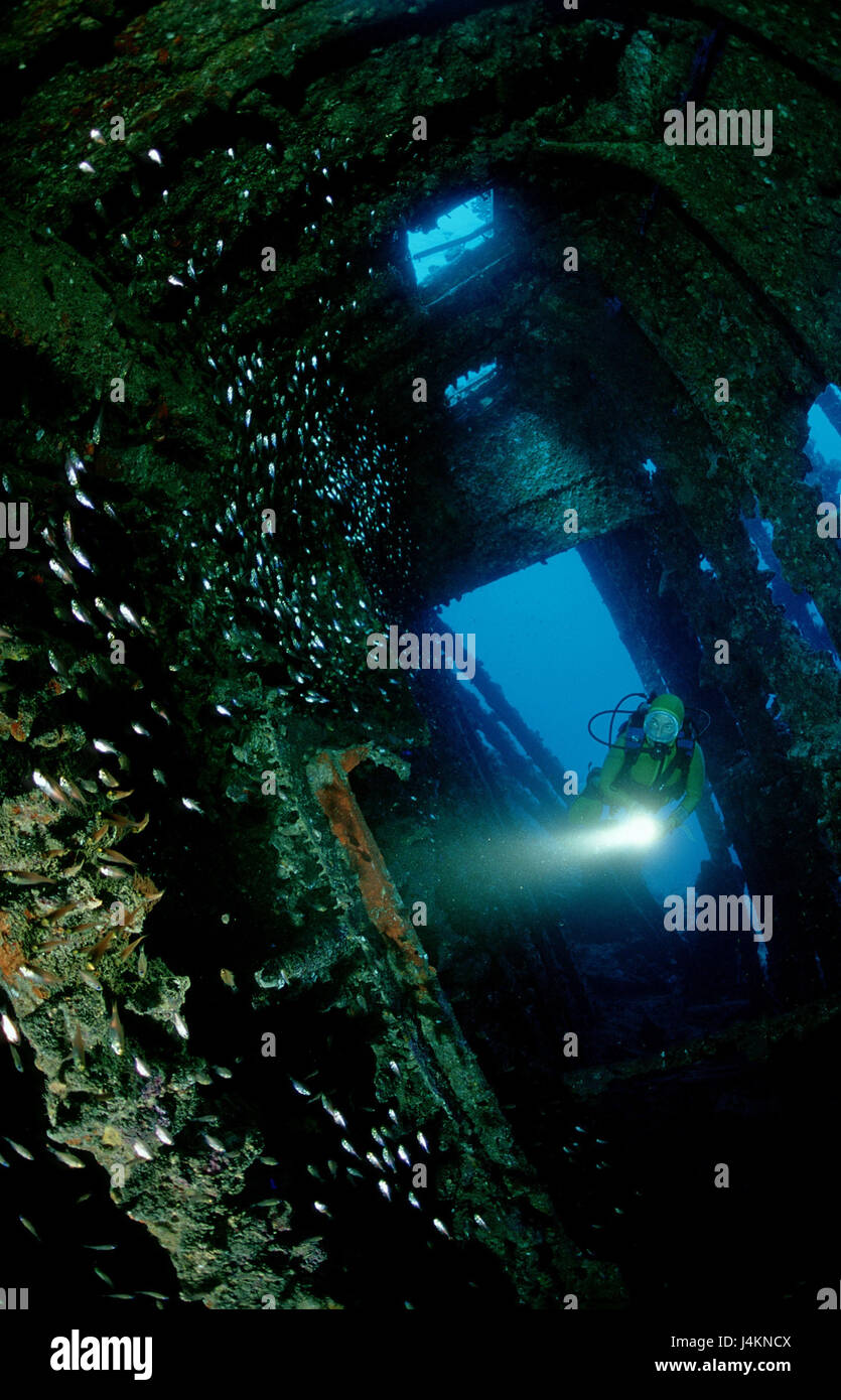 Ship wreck, diver, wreck diving Stock Photo - Alamy
