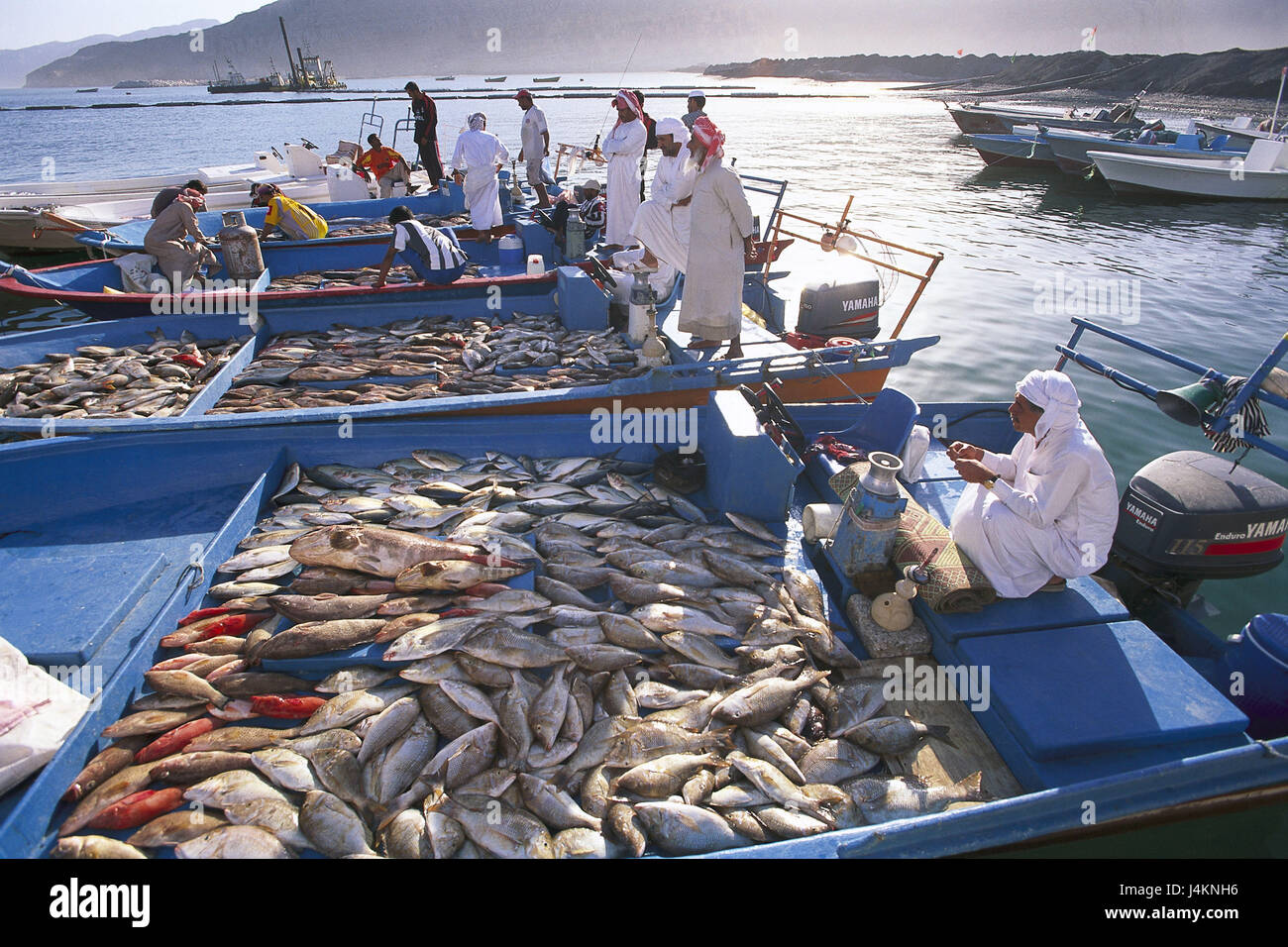 Oman, Musandam peninsula, Khasab, beach, fisherman, successfully, catch ...