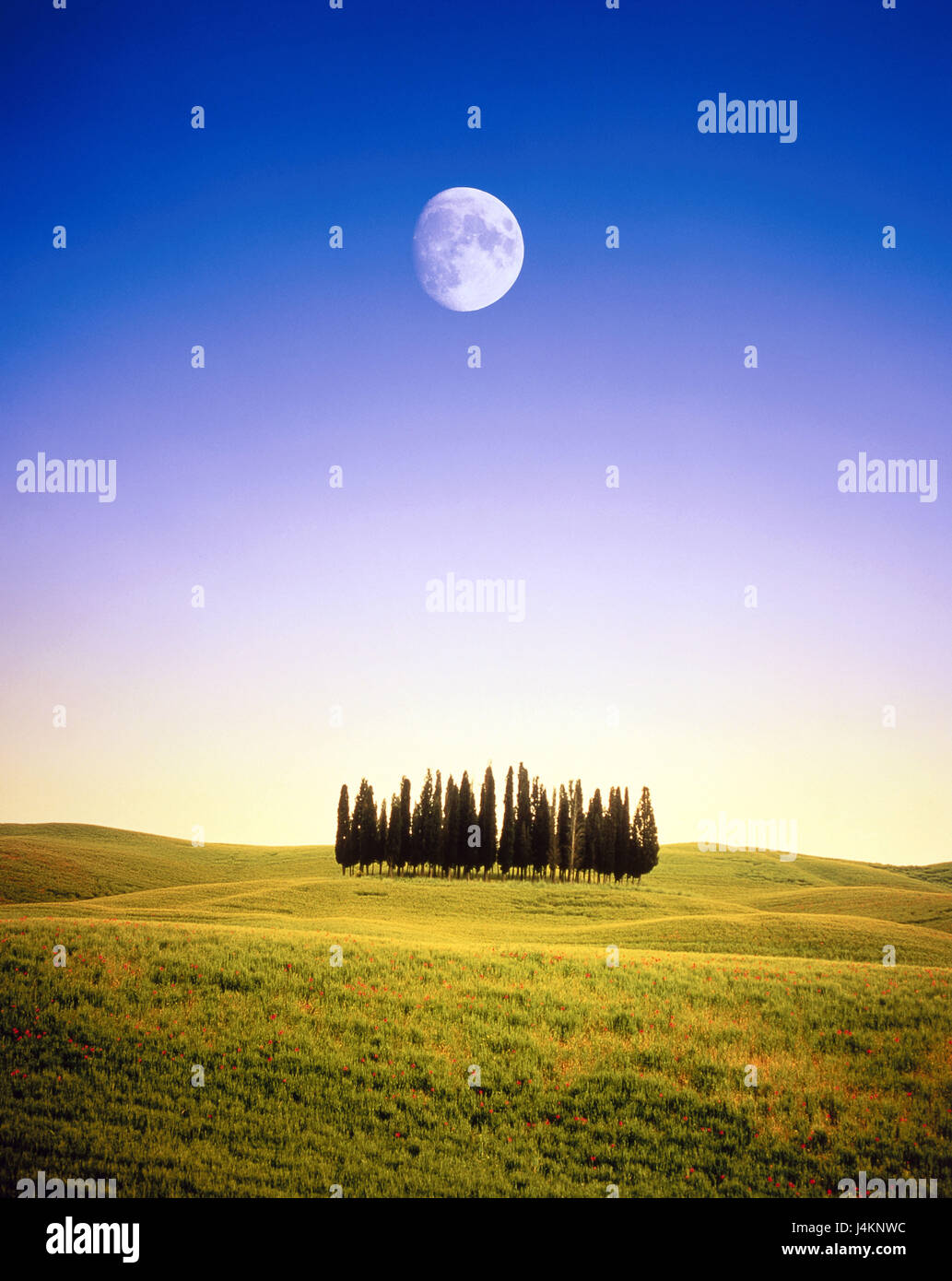 Italy, Tuscany, Val d'Orcia, hill, cypresses, evening tuning, moon ...
