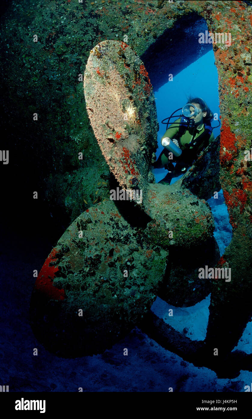 Diver, ship wreck, wreck diving Stock Photo - Alamy