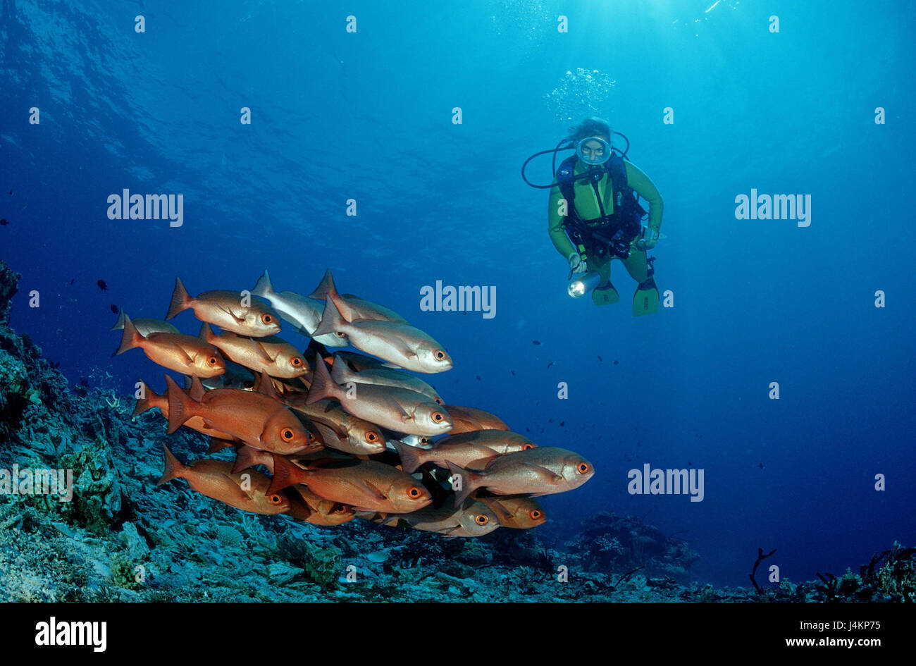 Latches hi-res stock photography and images - Alamy