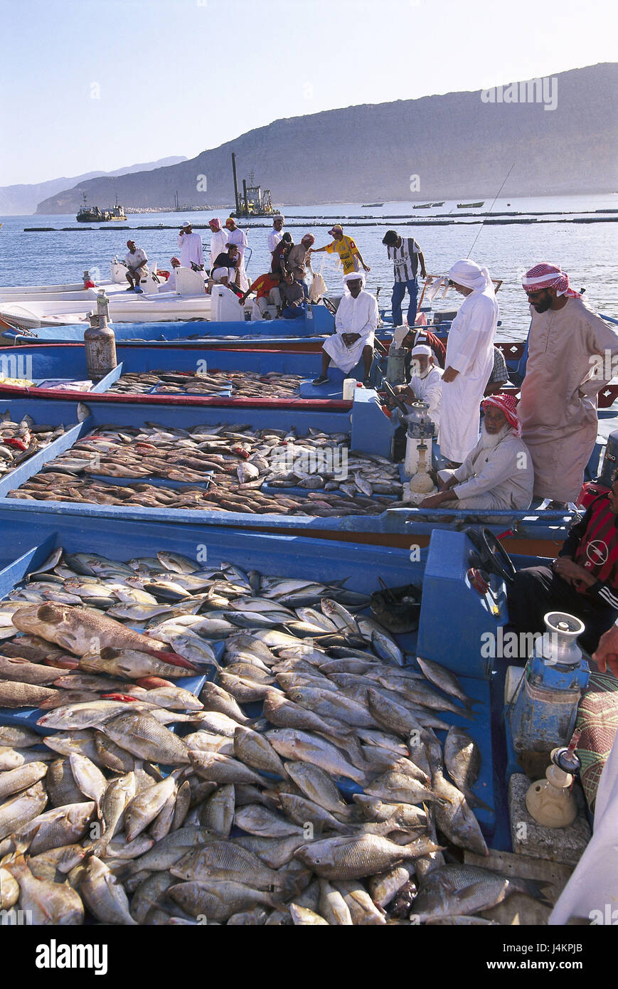 Oman, Musandam peninsula, Khasab, beach, fisherman, successfully, catch ...