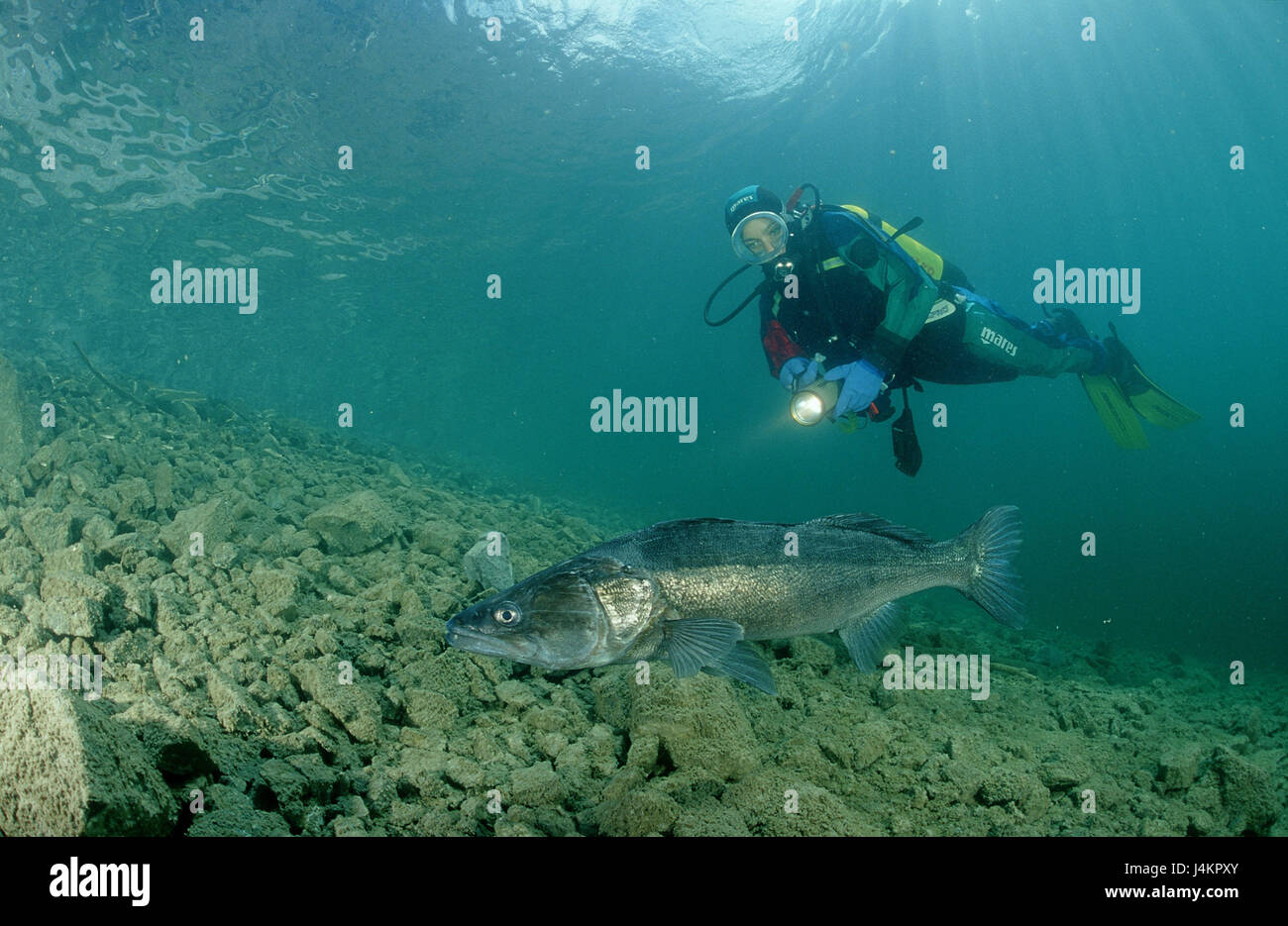 Outwash plain lake hi-res stock photography and images - Alamy