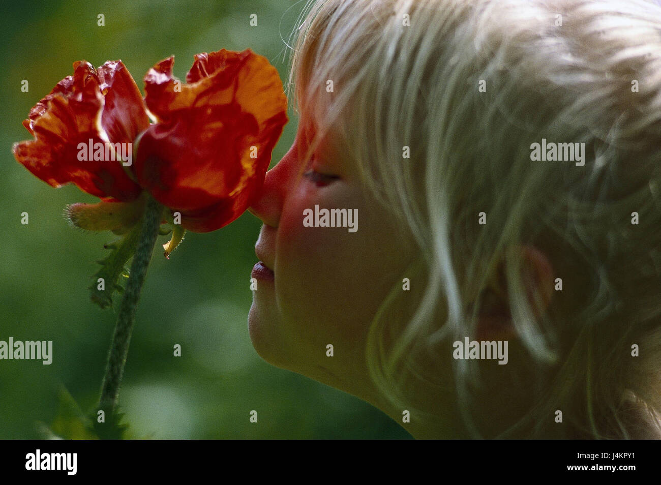 Girls, poppy, smell, tread summer, child, blond, eyes closed, childhood ...