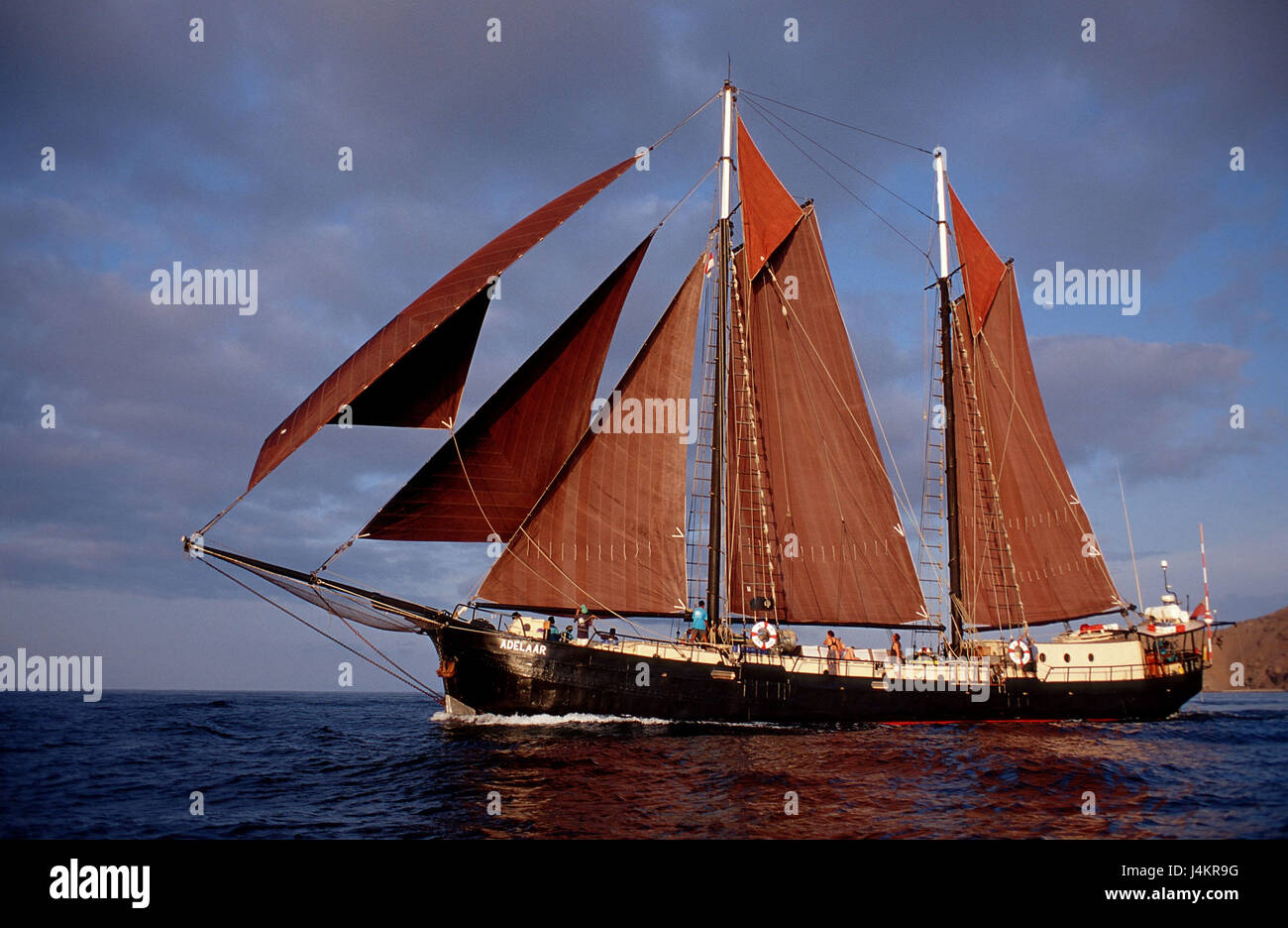 Sailing ship Adelaar Stock Photo - Alamy