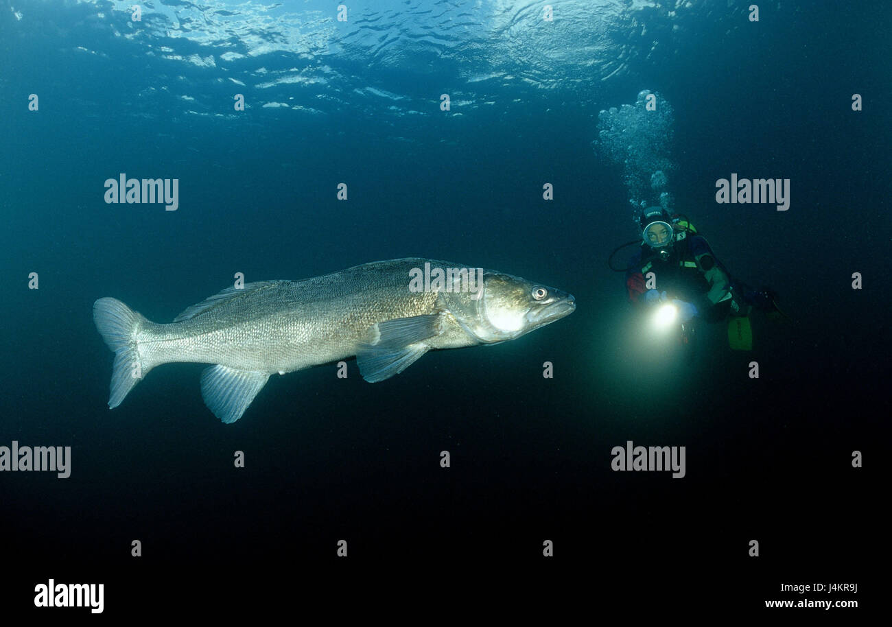 Outwash plain lake hi-res stock photography and images - Alamy