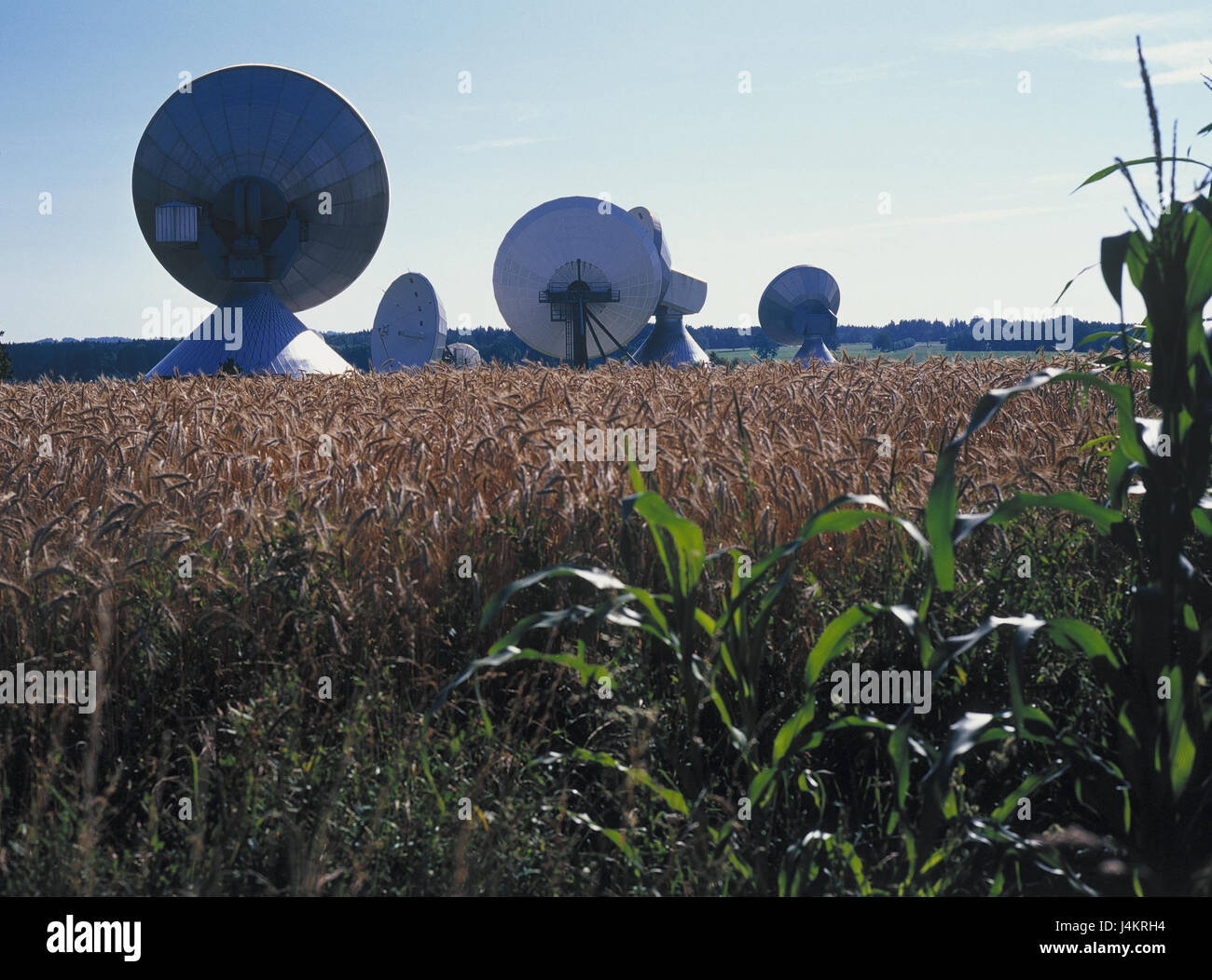 Germany, Upper Bavaria, Raisting, earth station, receiving, grain-field ...